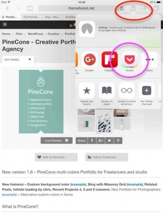 Pocket : un ami dans votre poche | La Webeuse