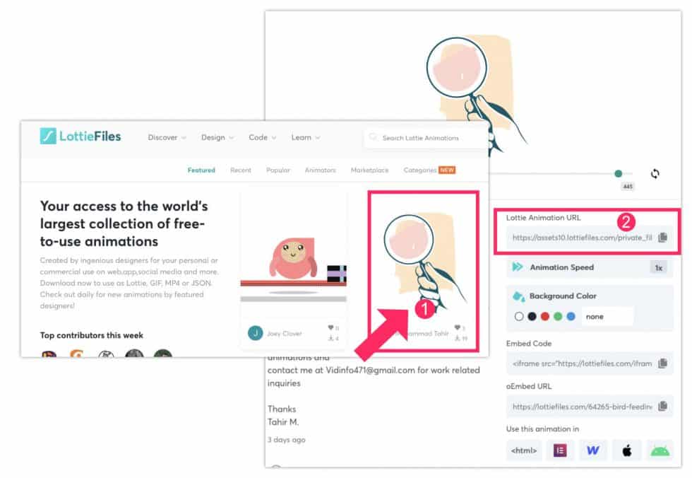 Comment insérer un Lottie dans WordPress, Divi ou Elementor